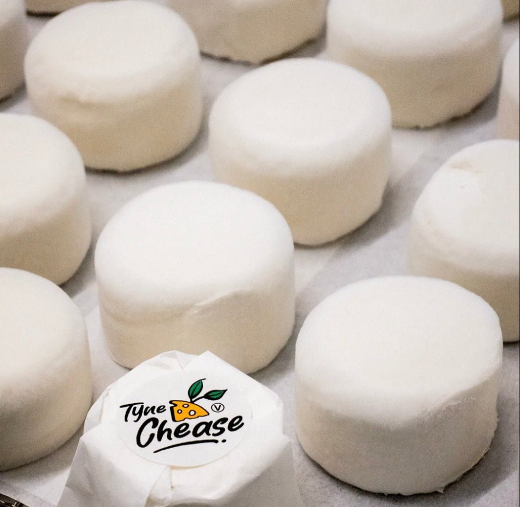 Vegan & Nut Cheeses – ArtisanBox