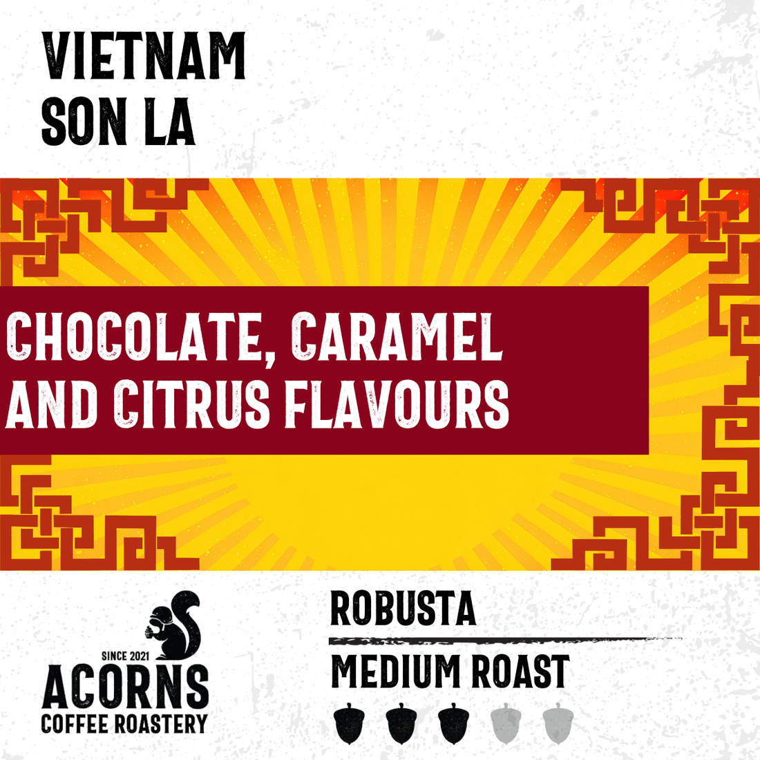 Vietnam Son La Medium Roast – ArtisanBox